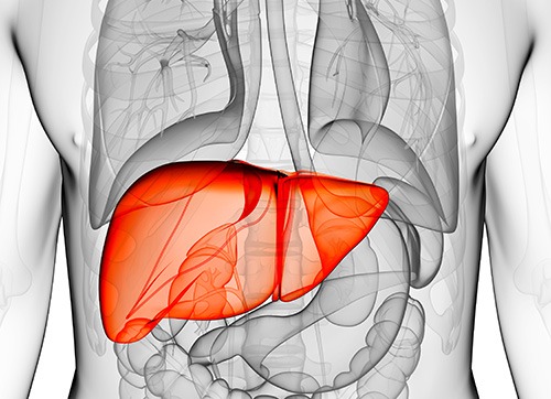 Hepatobiliary Surgeons in Oakland County, MI | SEM Surgical